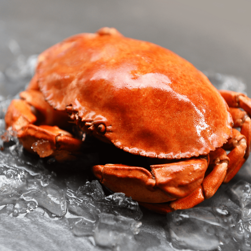 Makan Ketam Batu: Halal Atau Haram? – mymuslimin.com