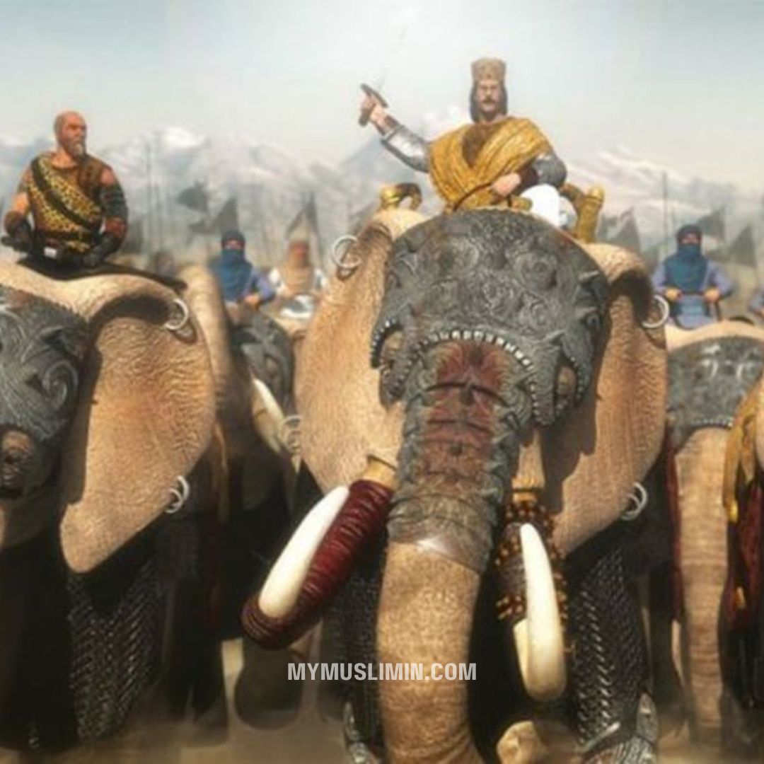 3 Lessons for the Soul From Surah Al-Fiil (The Elephant) – mymuslimin.com