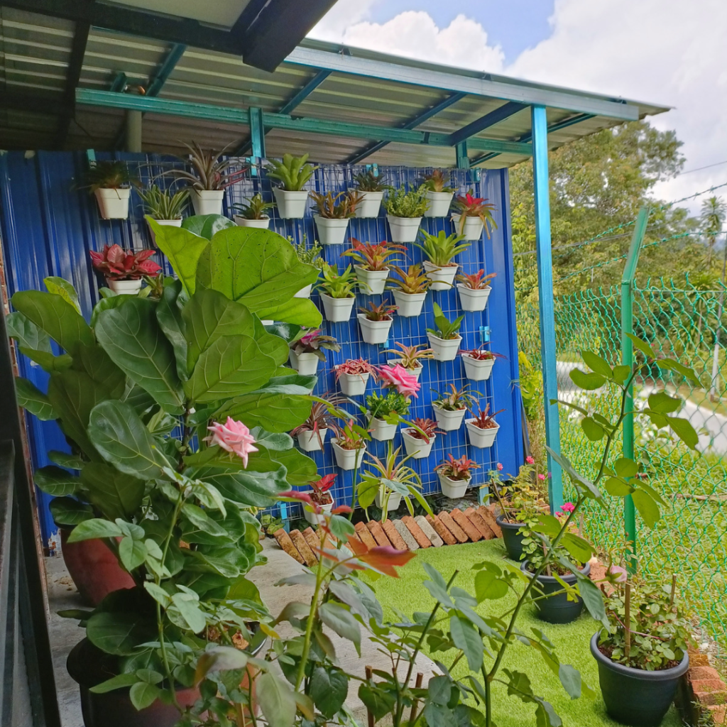 9 Port Masak Lemak Cili Padi Sedap di Negeri Sembilan – mymuslimin.com