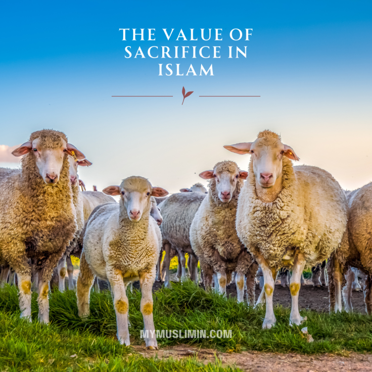 The Value of Sacrifice in Islam – mymuslimin.com